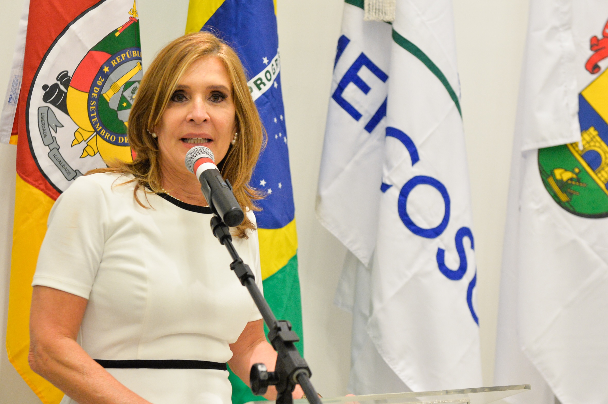 MÔNICA LEAL É A NOVA PRESIDENTE DA CÂMARA DE PORTO ALEGRE